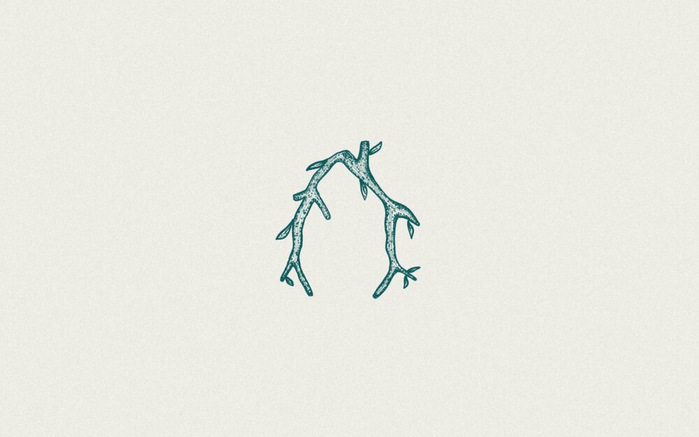 Branch House | Longitude°